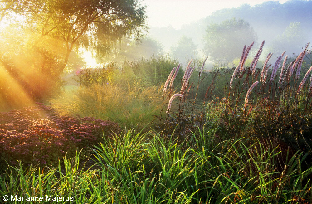 Doddington Place Gardens - » Useful Photographic Tips From a Celebrated ...