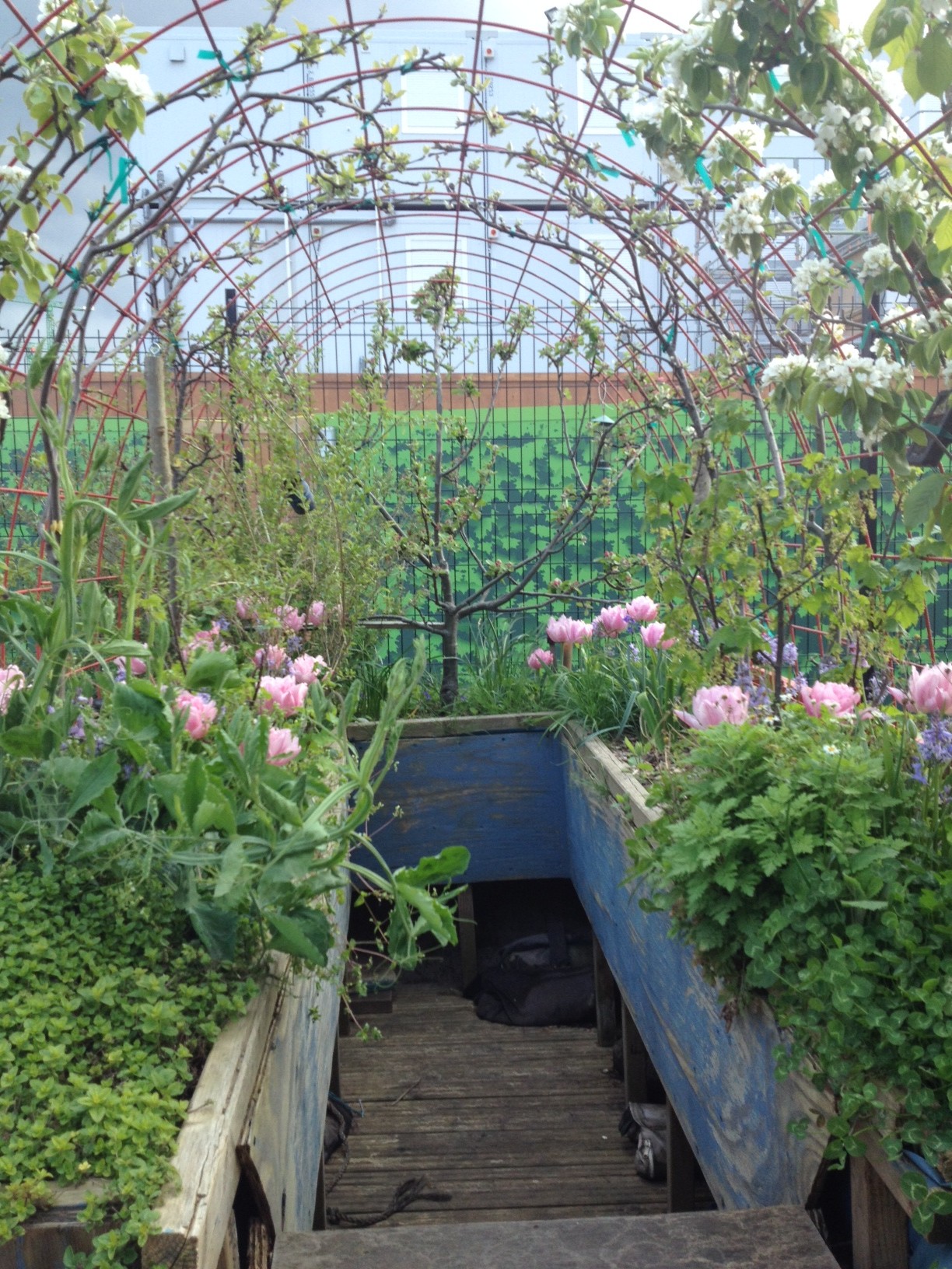 Doddington Place Gardens - » A Skip Garden in the heart of London ...