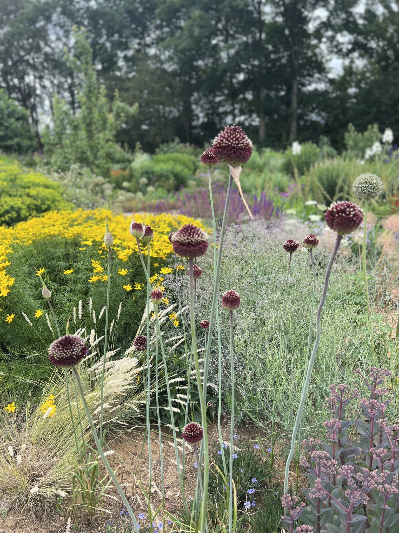 Doddington Place Gardens - » The Serge Hill Project, a Community ...