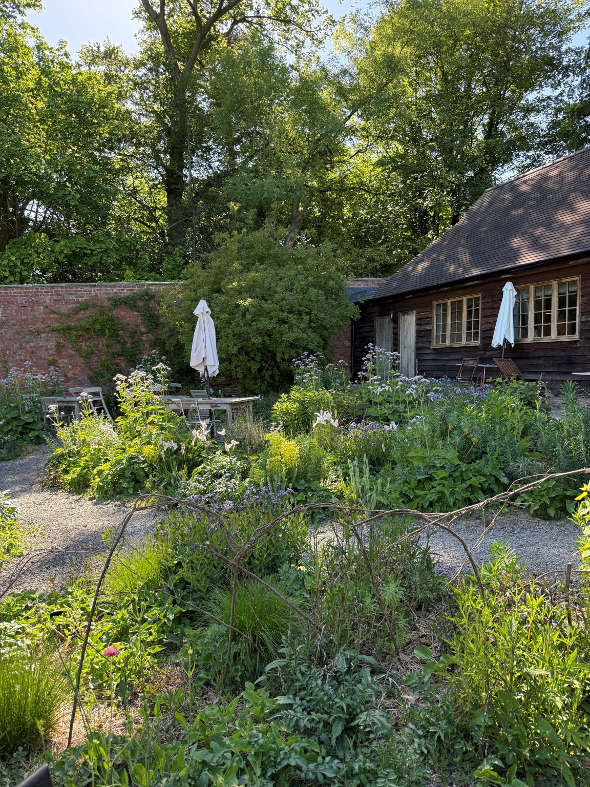 Doddington Place Gardens - » Wildgoose Nursery Faversham, Sittingbourne ...